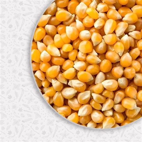 Pop Corn Crispy And Delicious Snack B2b Foodstuff Kuwait Sarai
