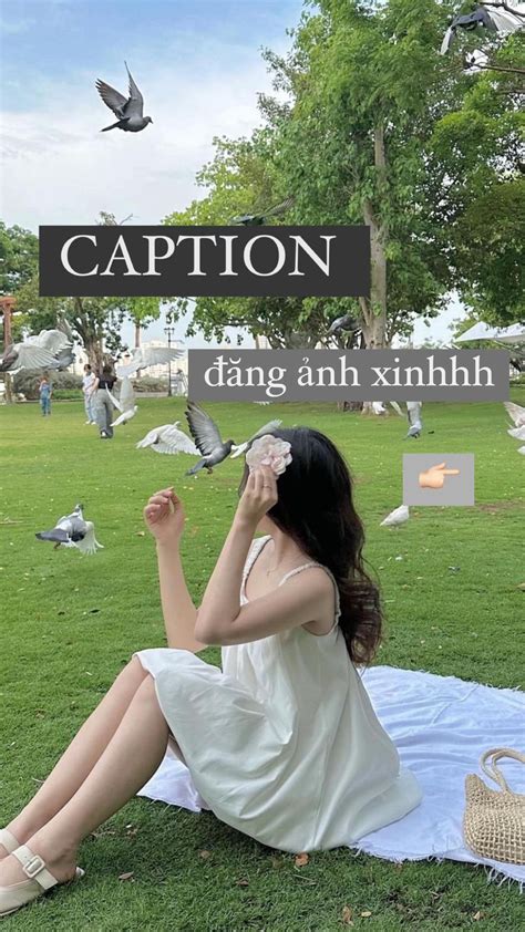 Tips Chụp Ảnh Đẹp Tipsanhdep • Instagram Photos And Videos
