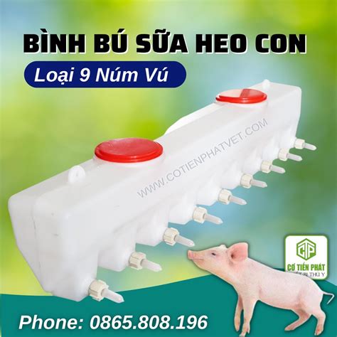 B Nh B S A Heo Con Gi I Ph P Cho L N Con M T M Nhi U L N Con Cai S A Lo I N M V Cao