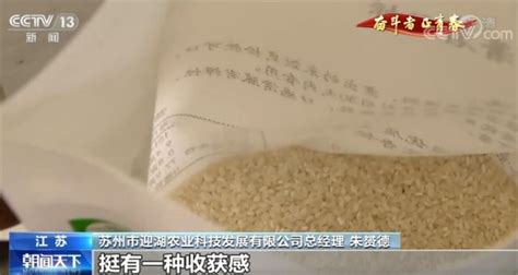 【奋斗者·正青春】朱赟德：推广农业科技 留住江南味“稻”新闻频道中国青年网