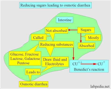 Stool Examination Part 3 Reducing Substances Breath Test And