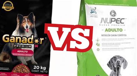 Descubre La Mejor Comida Para Perros Ganadora En Relación Calidad Precio ¡nuestra Selección Top