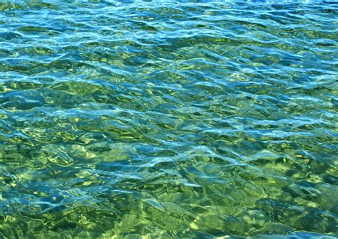 무료 이미지 바다 대양 수중 조류 서식지 얕은 자연 환 경 해양 생물학 산호초 물고기 3213x2280 180396 무료 이미지 Pxhere