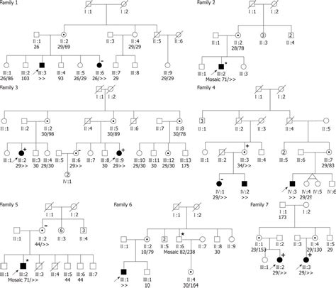 Fragile X Syndrome Pedigree Chart Quotes Trendy New