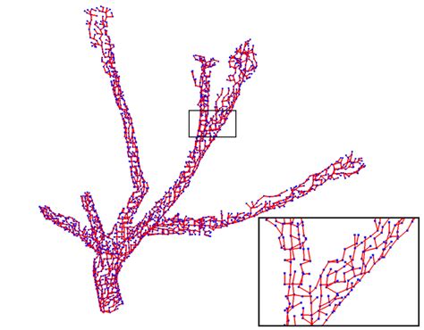 Overview Of Our Skeletonization Method A Raw Point Cloud B Octree Download Scientific