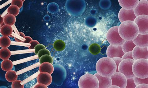 Bone Marrow Stem Cells Derived From Bone Marrow Aspirate Bmac