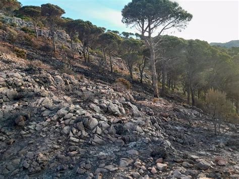 Protección Civil Alerta Por Elevado Riesgo De Incendios Por Las