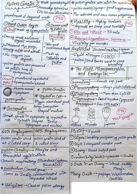 Solution Sexual Reproduction In Plants Notes Studypool