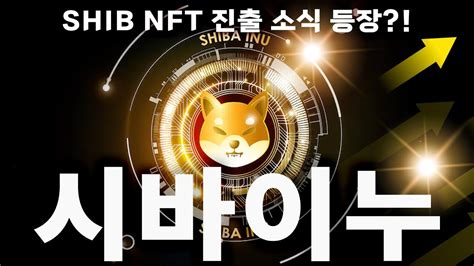 시바이누 Nft 진출 소식 등장 시바이누 시바이누코인 시바이누전망 시바이누호재 Youtube