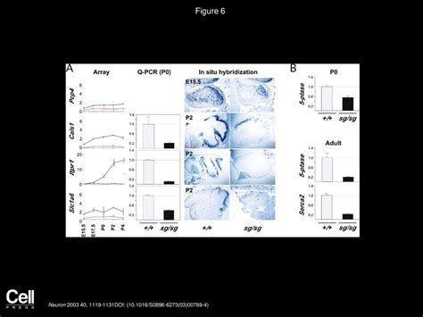 Volume Issue Pages December Ppt Download