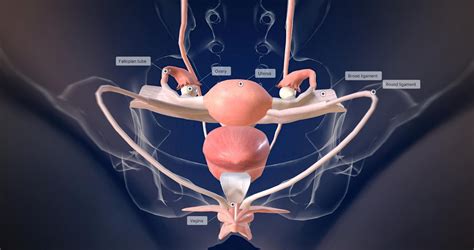 Emsella Chair For Sexual Function In Men And Women In Dubai