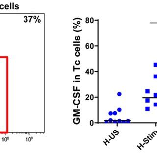 GM CSF Expression In Natural Killer NK Cells Fresh Isolated PBMC