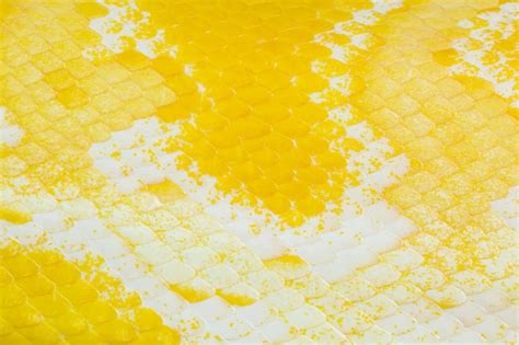 Premium Photo Golden Python Scale Textureclose Up View Of Golden