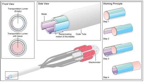 Surgical Tool Inspired By Ovipositor Of Parasitic Wasps The Engineer