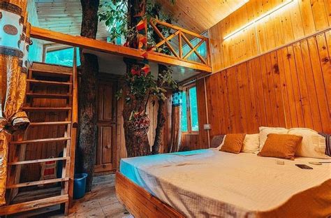 Into The Lap Of Nature 15 Enchanting Tree Houses In India