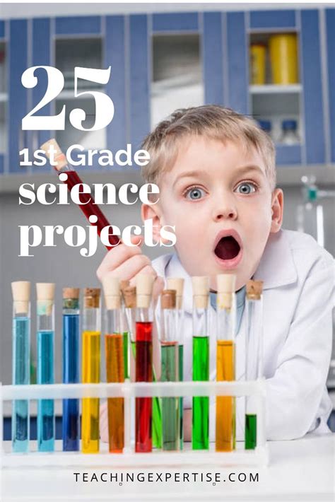 25 Fun And Easy 1st Grade Science Projects You Can Do At Home 1st Grade
