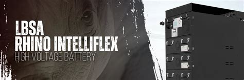 Lbsa High Voltage Lithium Batteries South Africa