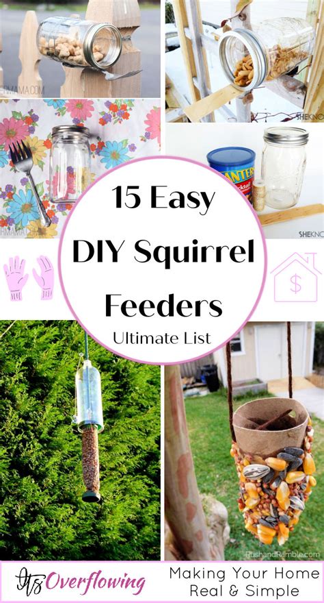 15 Easy Diy Squirrel Feeder Ideas Make A Squirrel Feeder
