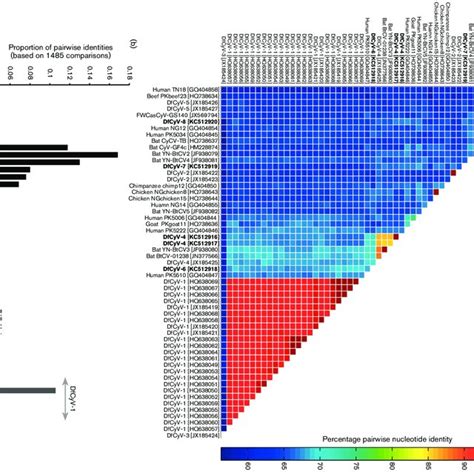 A Two Dimensional Pairwise Plot Of Genome Wide Pairwise Identities