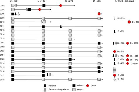 Minimal Residual Disease Monitoring Download Scientific Diagram