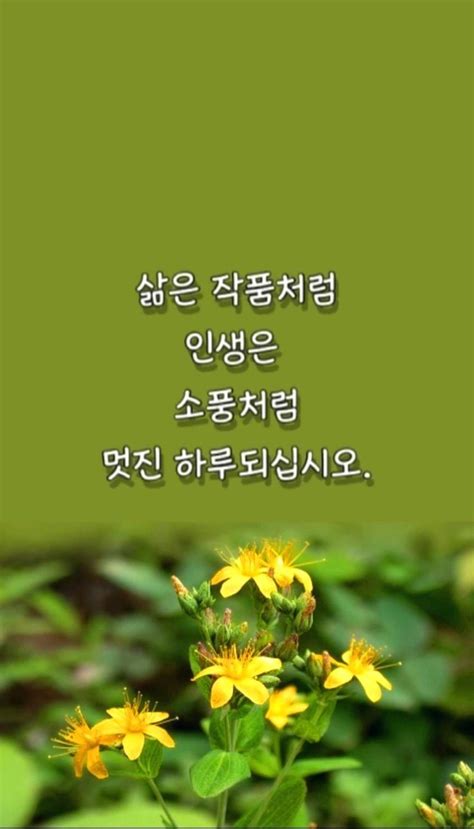 꽃 사진에 있는 승리님의 핀 자연 사진 좋은 아침 인사 멋진 명언