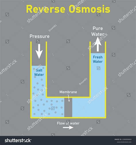 Simple Reverse Osmosis Water Filter Diagram Stock Vector Royalty Free 2290836943 Shutterstock