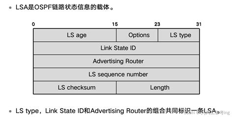 网工进化day5（区域间路由）3类lsa描述 Csdn博客