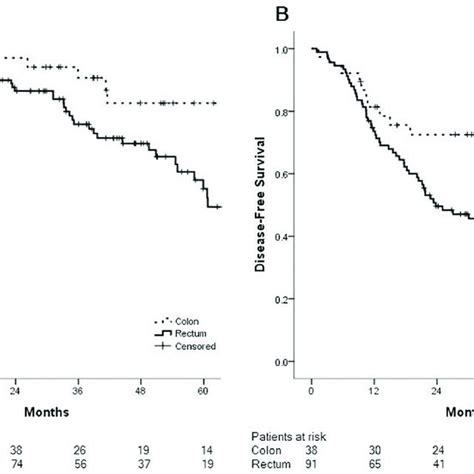 Patients Who Underwent Pulmonary Metastasectomy After Resection Of