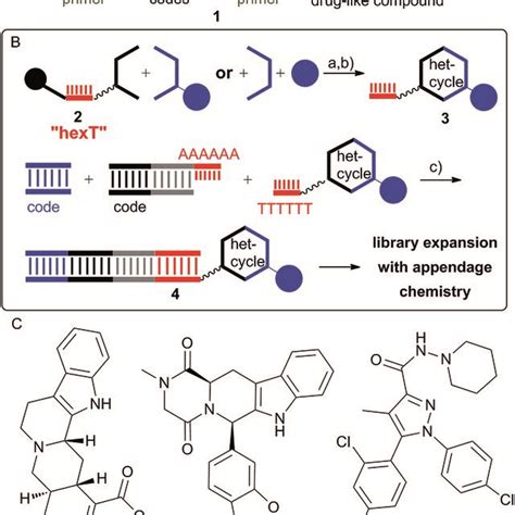 Outline Of The Oligothymidine Initiated DNA Encoded Chemistry TiDEC