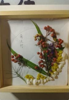 药香雅韵本草书院举办捕捉自然之美感受中药之韵活动 本草书院