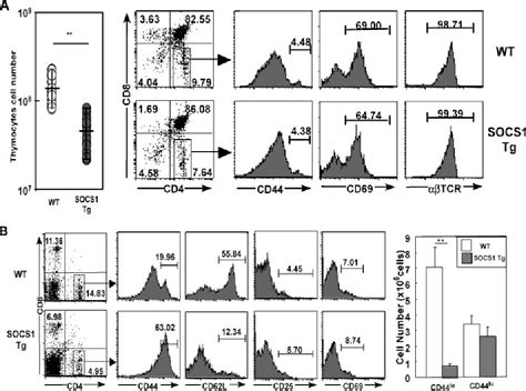 Figure 1 From Il 7 Stat5 Cytokine Signaling Pathway Is Essential But Insufficient For