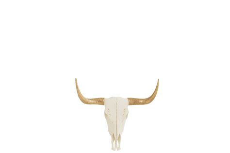 Steer Skull Cartoon