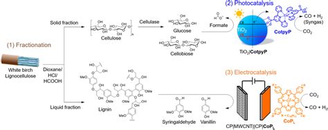 Xylose Sugar