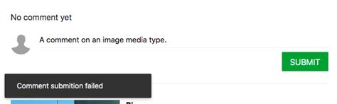 Bug Comment For Image Media Type · Issue 683 · Mediacms Iomediacms · Github