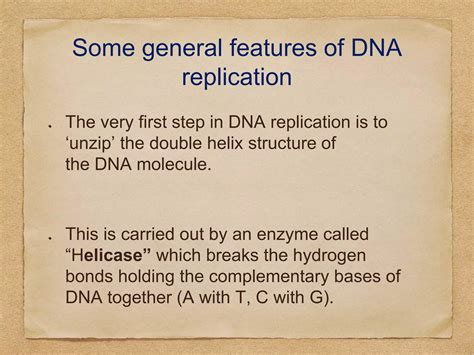 Dna Replication In Prokaryotes Pptx