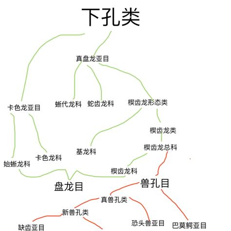 生物分类表 知乎