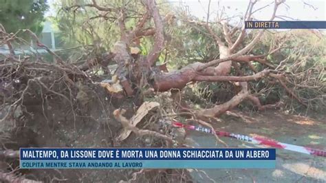 Maltempo Da Lissone Dove è Morta Una Donna Schiacciata S Da Un Albero