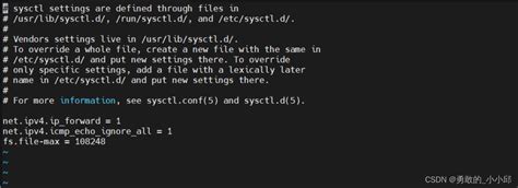Linux中永久修改内核参数 已自测linux修改内核参数 Csdn博客