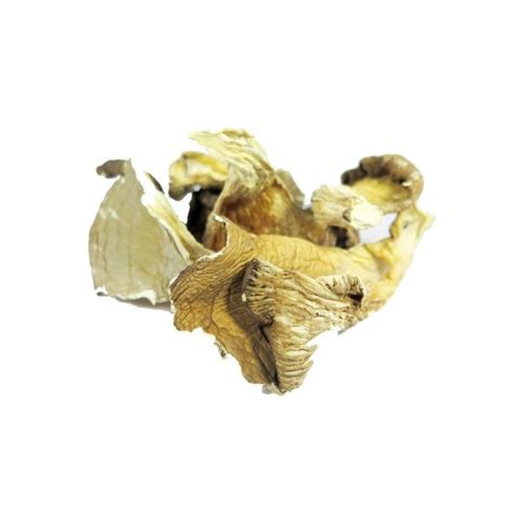 Hongos Girgolas Secas Enteras X 50 Gr Reparto Alegría