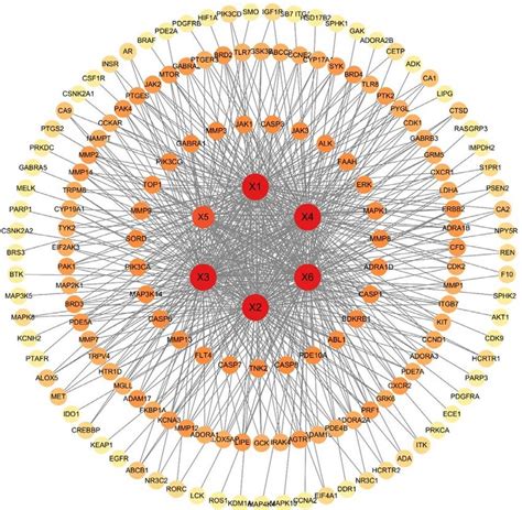 The Compound Protein Network Download Scientific Diagram