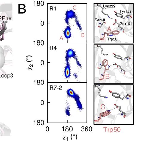 Pdf Manipulating Conformational Dynamics To Repurpose Ancient Proteins For Modern Catalytic