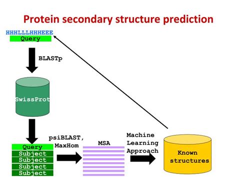 PPT Protein Secondary Structure Prediction PowerPoint Presentation ID