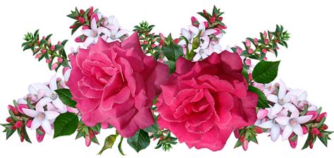 Download Flowers Pink Roses Royalty Free Stock Illustration Image