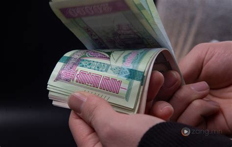 Заавар Эрдэнэс Тавантолгой ХК ийн хэдэн хувьцаатайгаа хэрхэн шалгах вэ