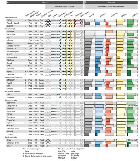 Trajectory Inference Analysis Of Single Cell RNA Seq Data