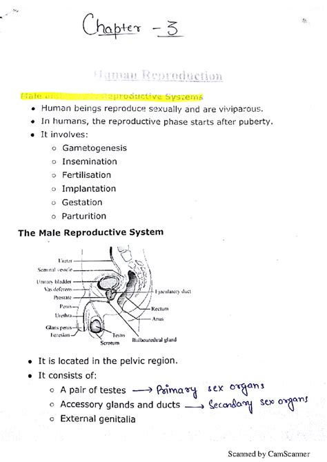 Chaptter 3 These Are Biology Notes Taken During Class Conservation Biology Studocu