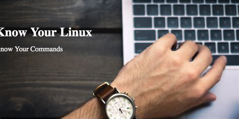 Know Your Linux 02 Know Your Commands Dev Community