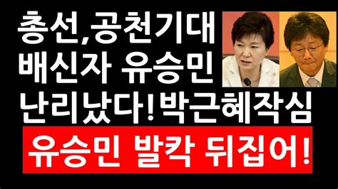 충격팩트총선 공천기대 배신자 유승민 난리났다 박근혜 작심 유승민 발칵 뒤집어 Youtube