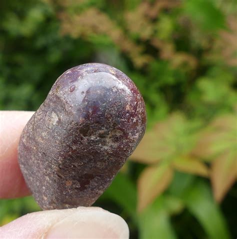 Rare Star Ruby Stick Crystal Visions Nz