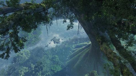 James Cameron Avatar Tree